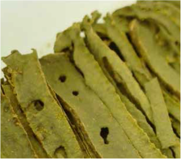 What is Propolis? – WaxGreenUSA.com